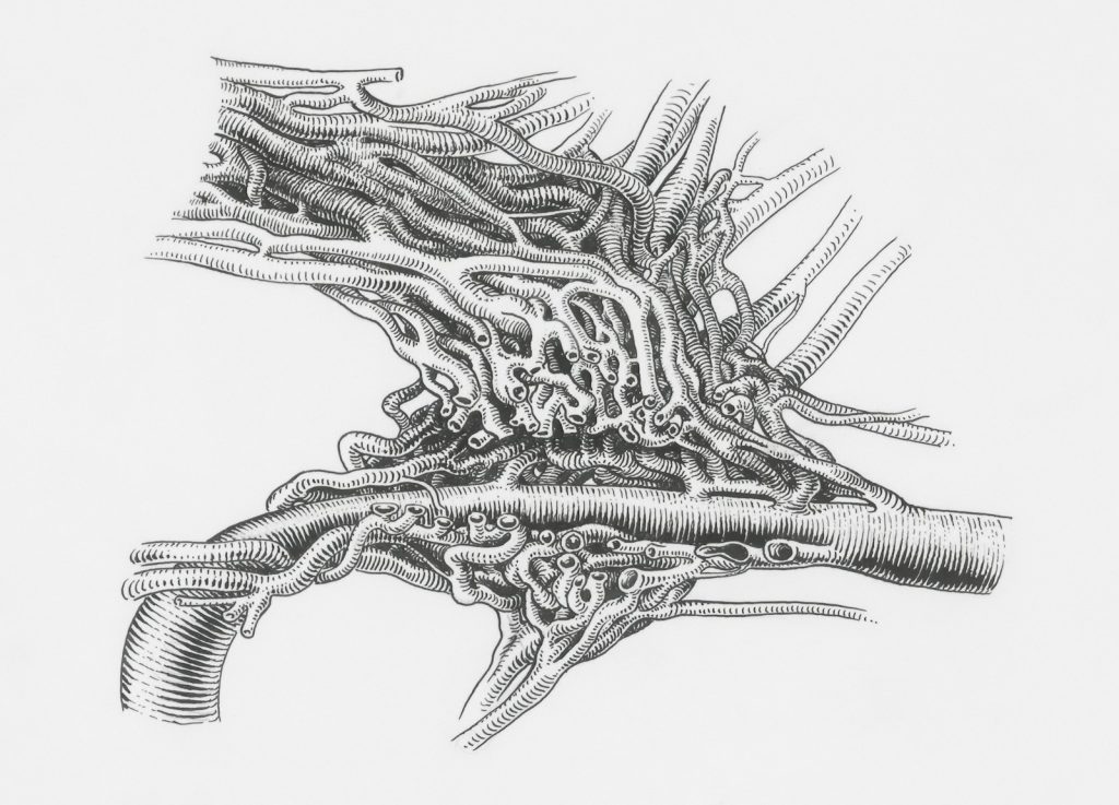 ERCP Procedure in Houston & Southeast Texas - Your GI Center